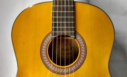 Violão Condor C20e Nt Nylon Eletrico Natural Amarelo C/ Nfe - Mercadão ...